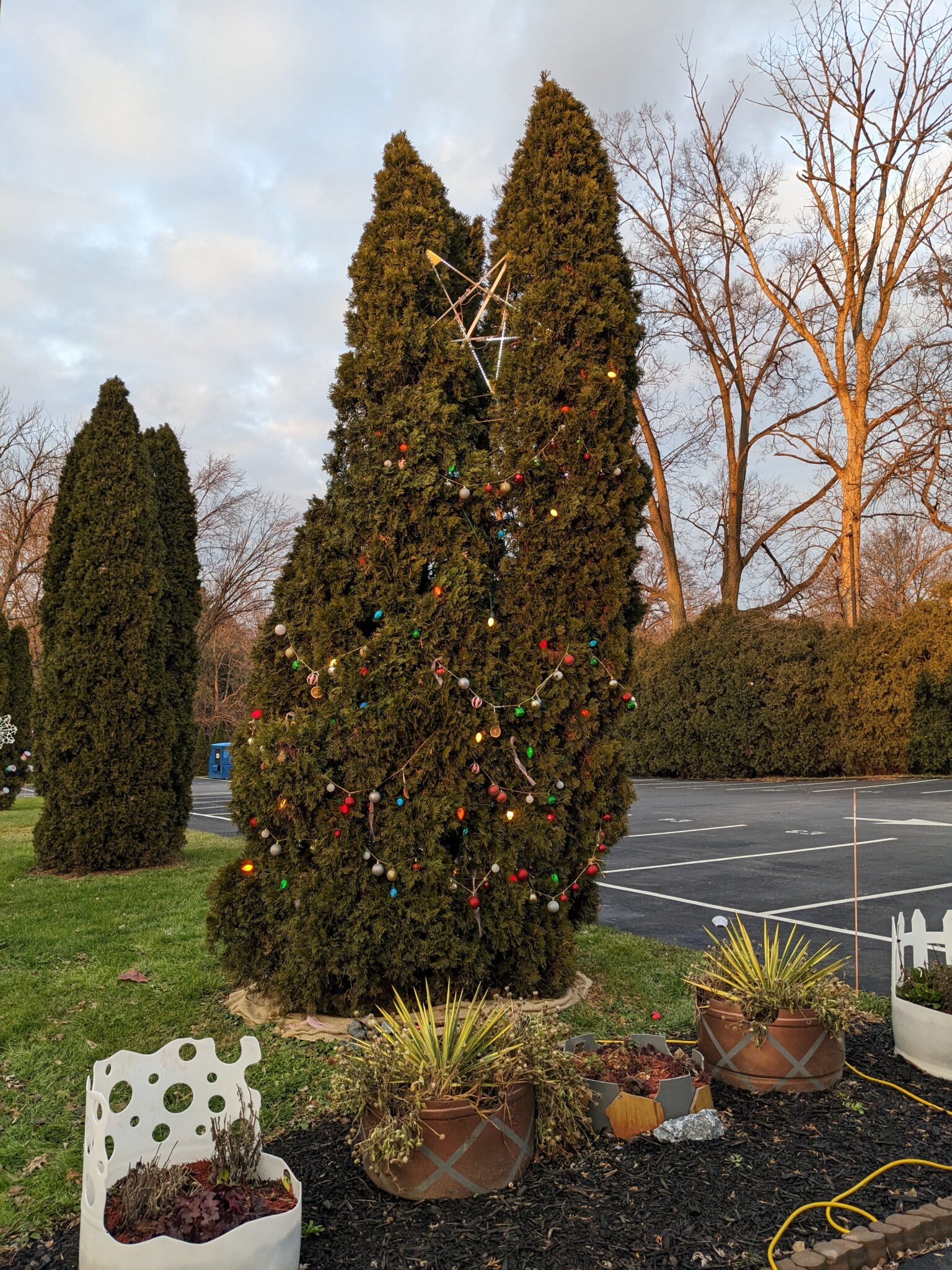 Tree Decorating Contest - Meals on Wheels of Lancaster